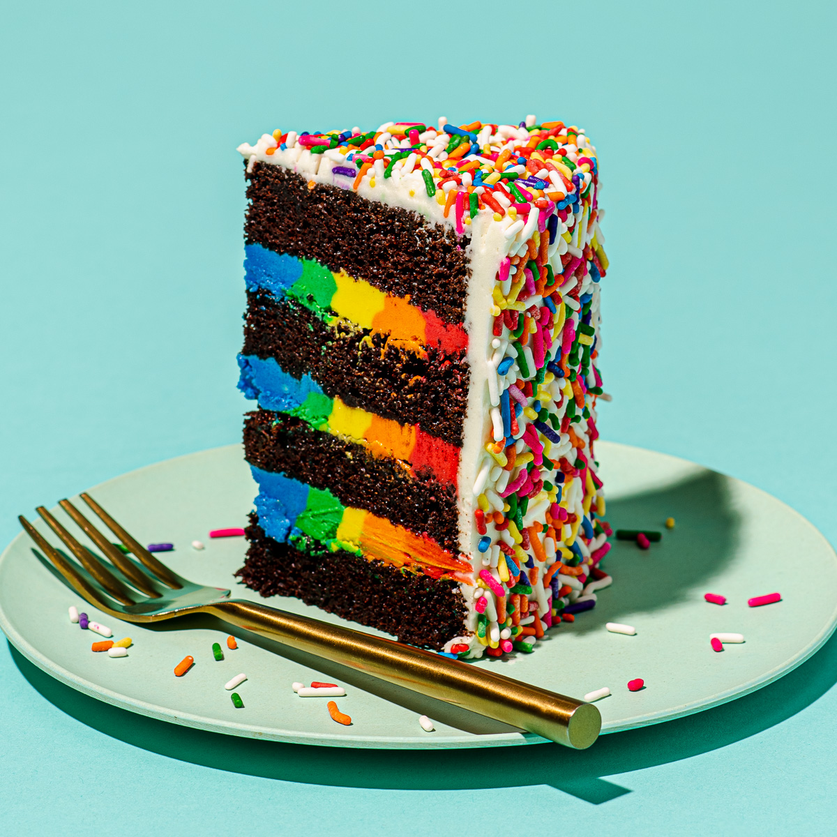 Types of Chocolate Cake: A Complete Guide 🍫